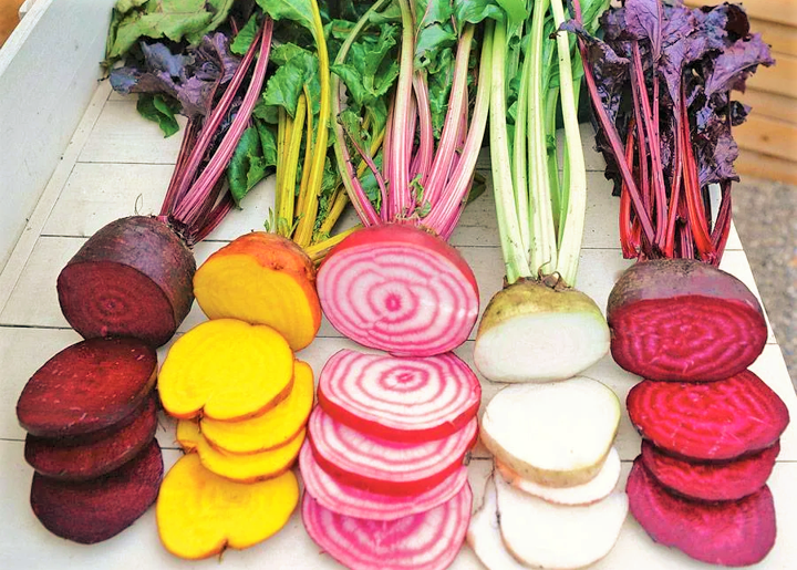 Rainbow Mix Beet Seeds - For 2025 Planting 5 Species Blend Mixed ...