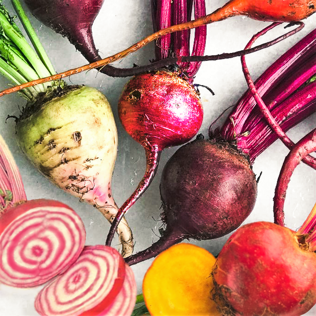 Rainbow Mix Beet Seeds - For 2026 Planting 5 Species Blend Mixed ...