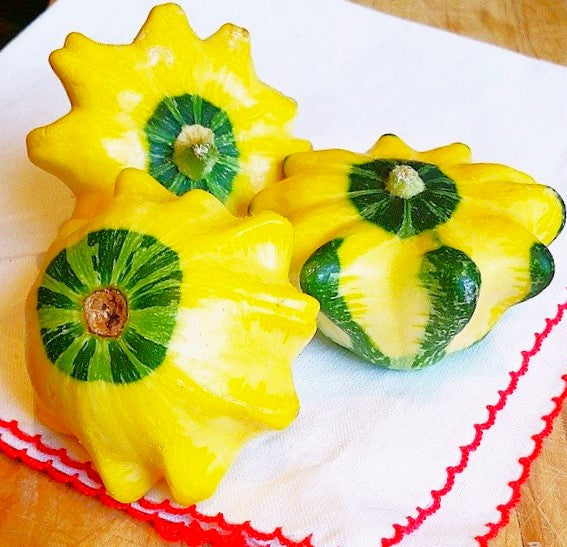 Yellow and Green Bicolor Patty Pan (Bush Scallop Squash) Seeds ...