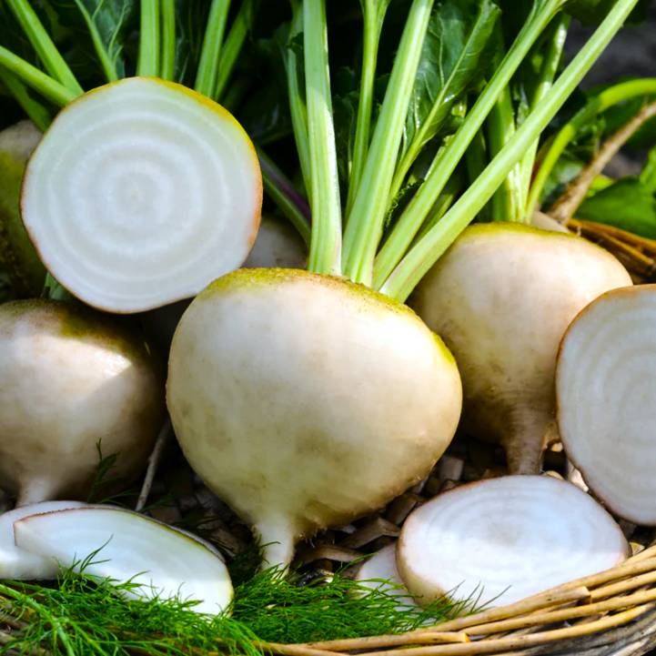 White Albino Beet Seeds | Mangel Turnip Garden Beetroot Sugar Sweet ...