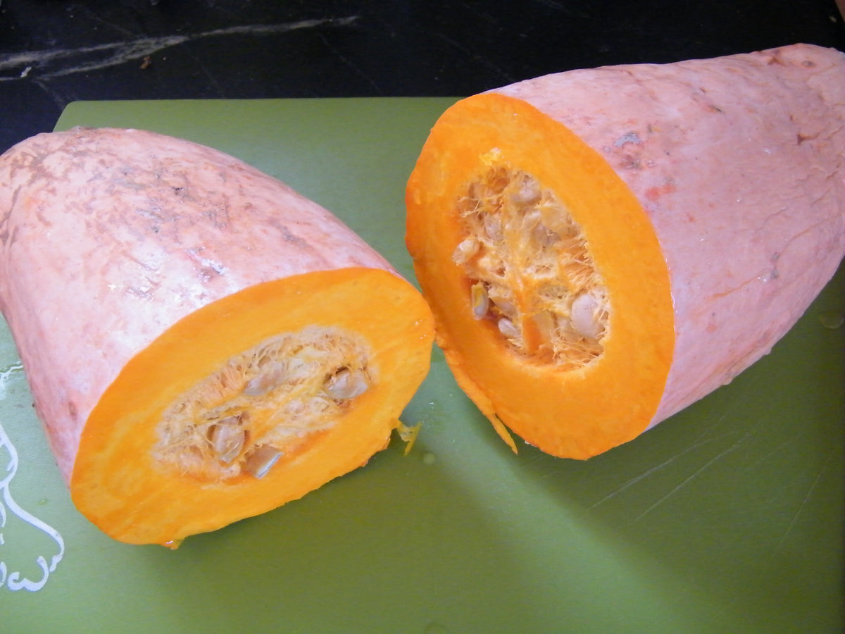 Jumbo Pink Banana Squash Seeds - For 2025 Planting USA Garden ...