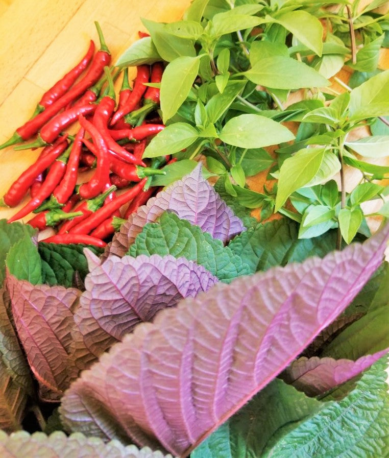 Vietnamese Perilla Seeds (Shiso) | Jeok Ssam Ip La TÃ­a TÃ´ Purple ...