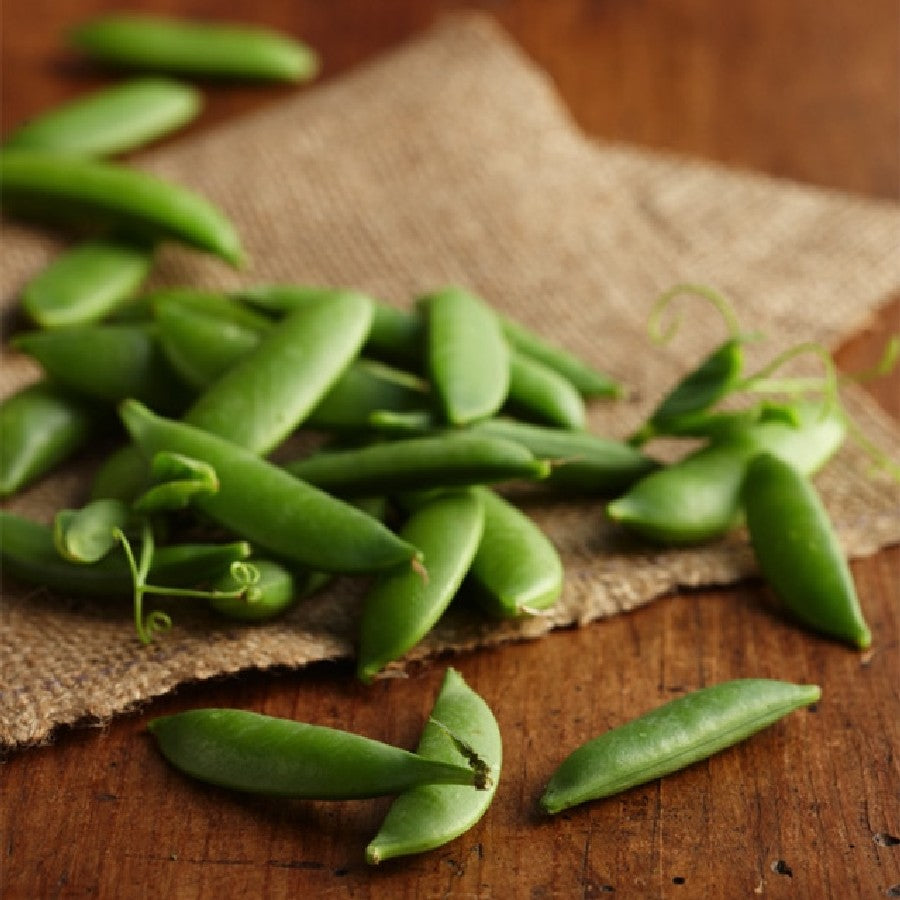 Sugar Ann Snap Pea Seeds - For 2025 Planting USA Garden Vegetable ...
