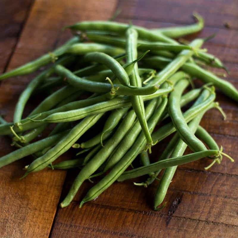 Blue Lake 274 Green Bean Seeds - For 2025 Planting USA Garden ...