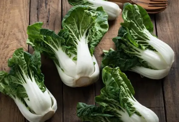 Baby White Stem Bok Choy Seeds | Extra Dwarf Pak Choi Seeds USA Pok ...