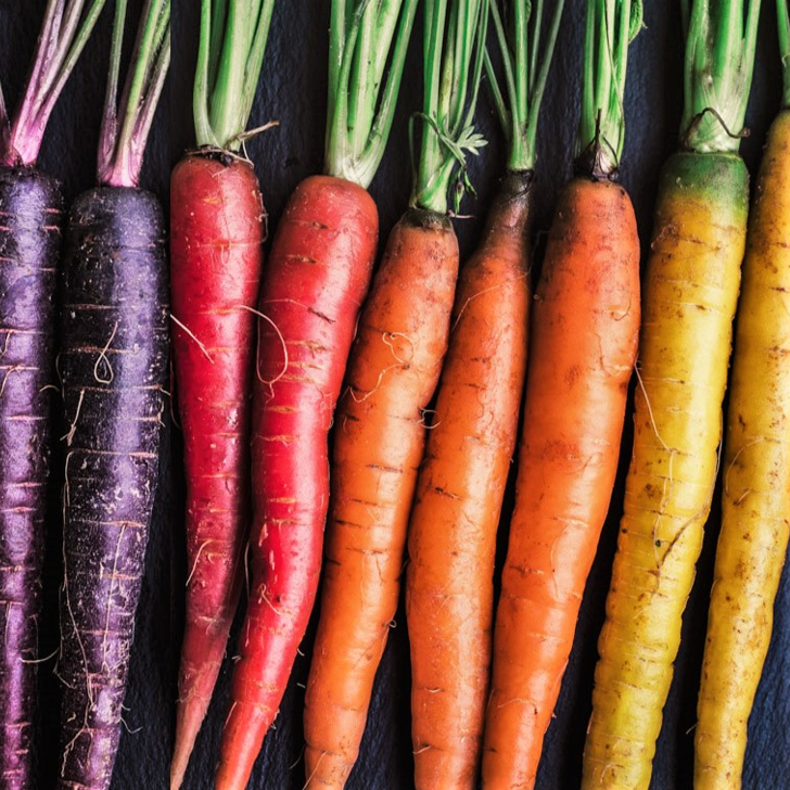 Rainbow Mix Carrot Seeds | Purple Red Yellow Orange Equal Mix Carrots ...