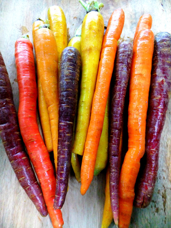 Rainbow Mix Carrot Seeds | Purple Red Yellow Orange Equal Mix Carrots ...