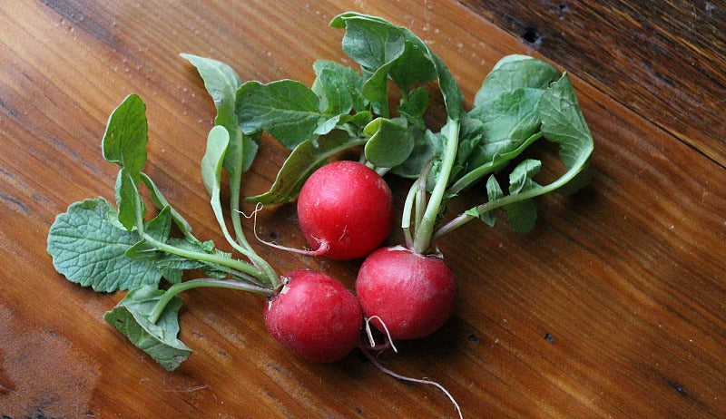 Cherry Belle Radish Seeds | Red Globe Radishes Fast Growing Champion ...