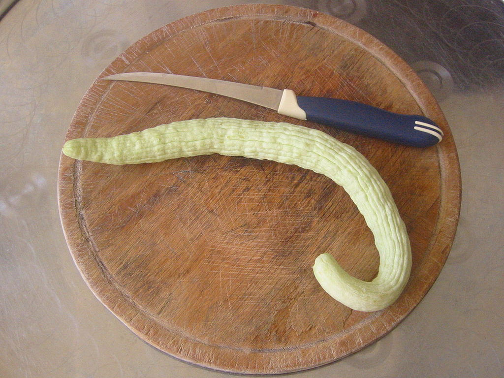 Armenian Cucumber Seeds | Yard Long Serpent Cucumber Snake Melon Pale ...