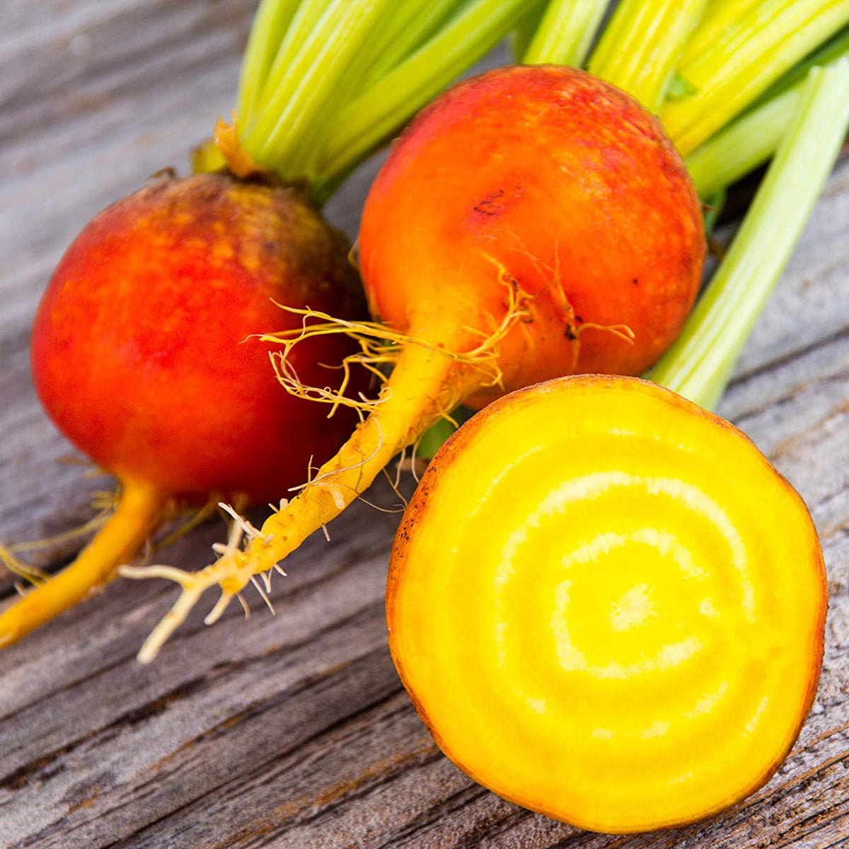 Golden Beet Seeds | Yellow Beets Orange Beetroot Gold Sunset Turnips ...