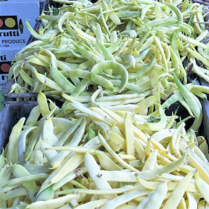 Bai Bu Lao Romano Pole Bean Seeds | Non GMO Stringless Green Flat Beans ...