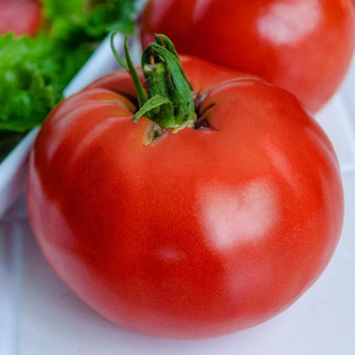 Marglobe Tomato Seeds | Disease Resistant High Yielder Indeterminate ...