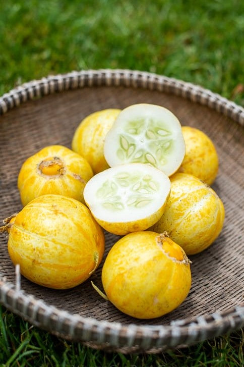 Lemon Cucumber Seeds | Yellow Golden Crystal Apple Cucumbers Slicing or ...