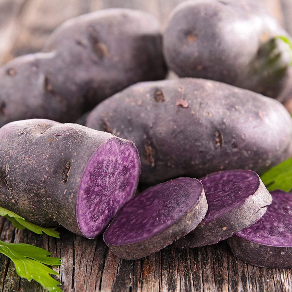 Adirondack Blue Seed Potatoes | For Growers Short Tuber Purple Potato ...