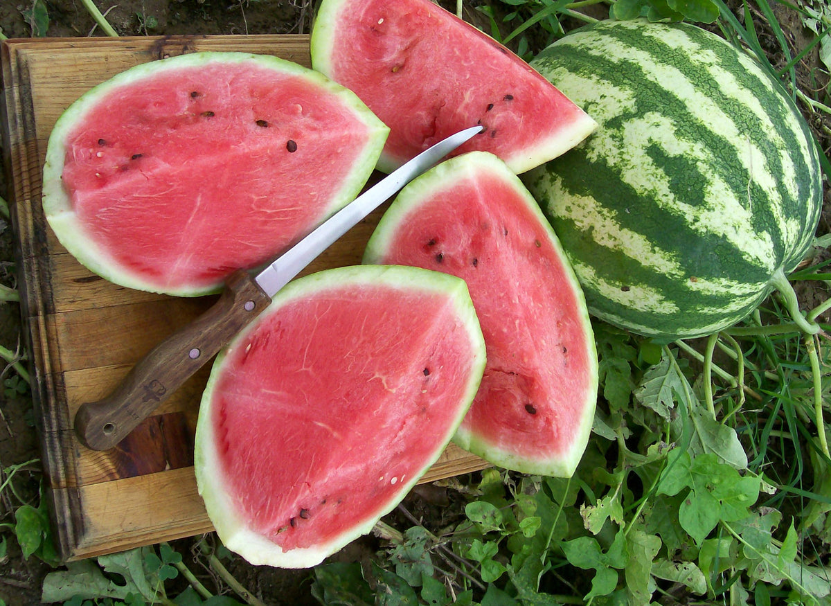 Crimson Sweet Watermelon Seeds | AAS Winner Green Dark Striped Large ...