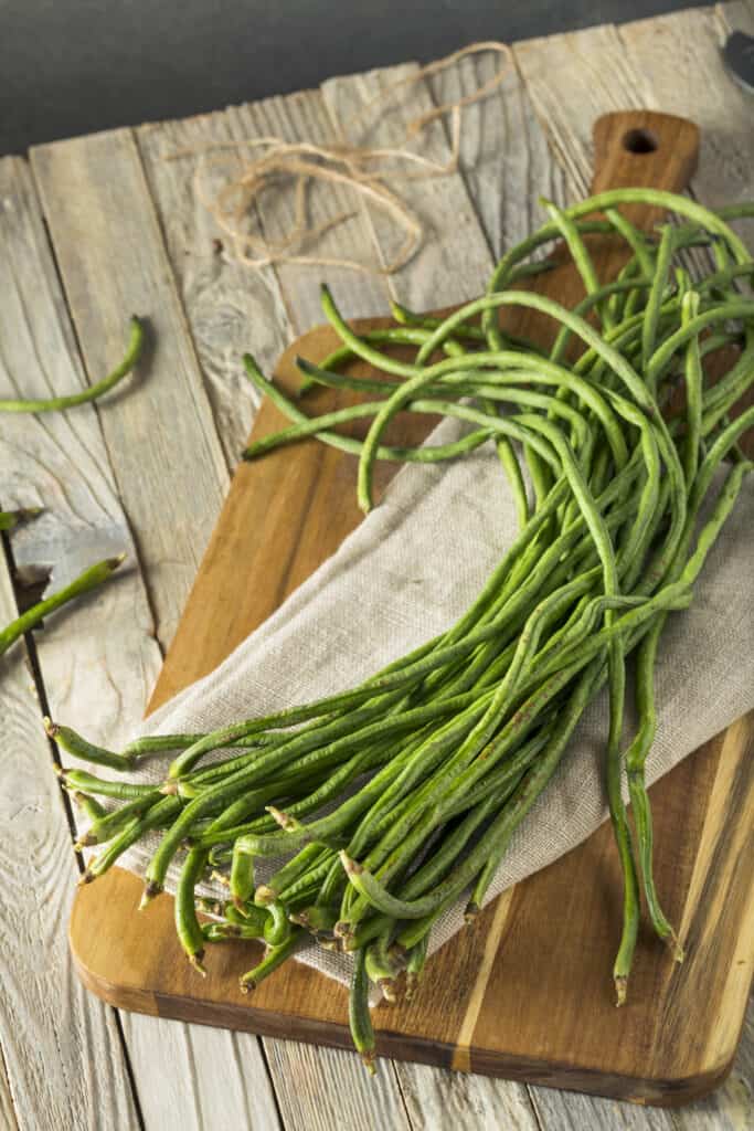 Dark Green Yard Long Bean Seeds | USA Vegetable Asparagus Asian Green ...