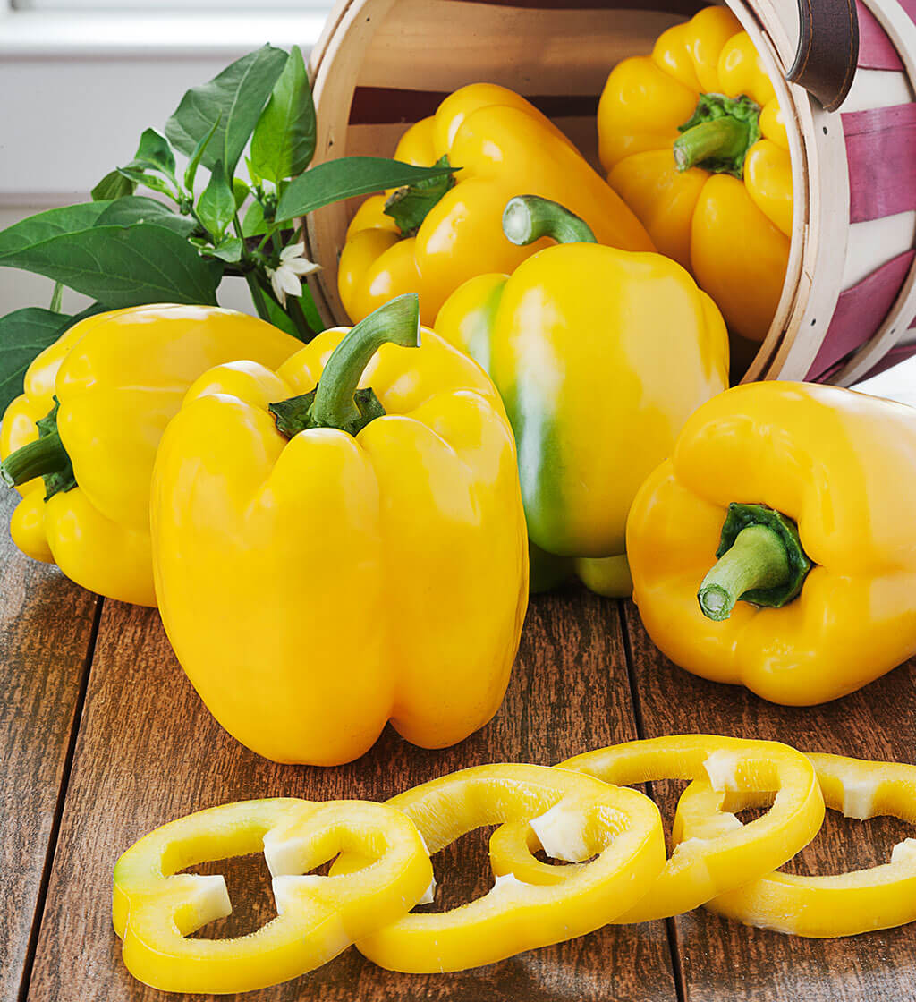 Golden Cal Wonder Sweet Bell Pepper Seeds | Yellow California Belle ...